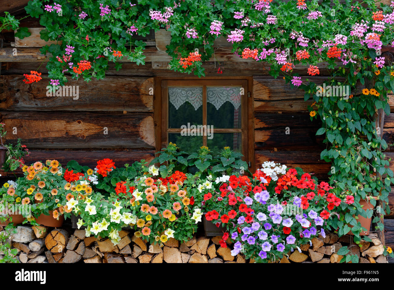 Flower-decorated windows, mountain inn, farmhouse, Wildgerlostal, High ...