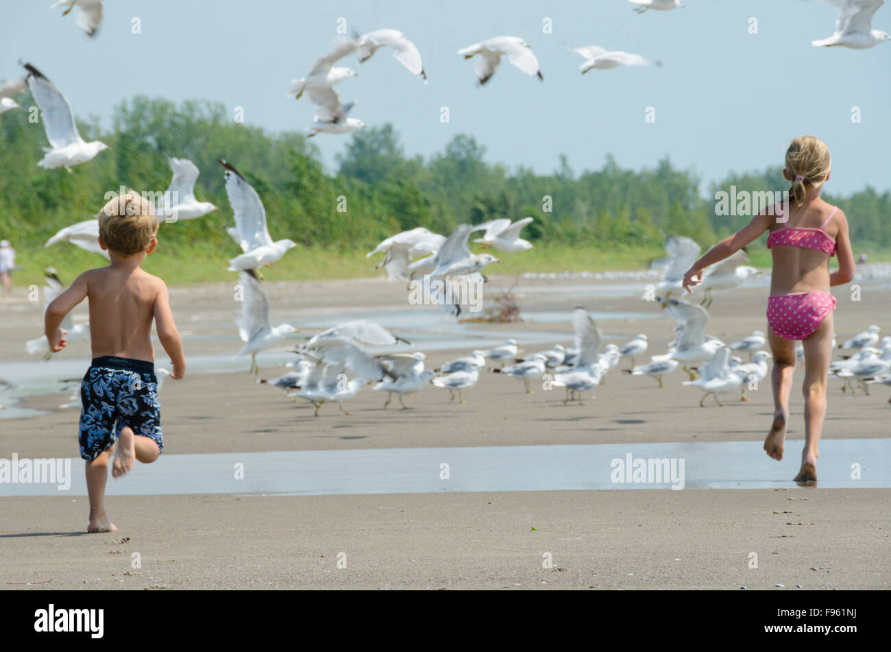 Children chasing running hi-res stock photography and images - Alamy