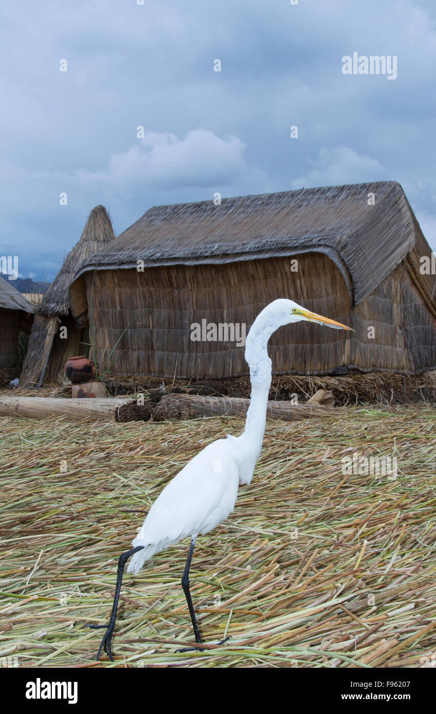Local residents of floating reed islands of Uros, Lake Titicaca, Peru ...