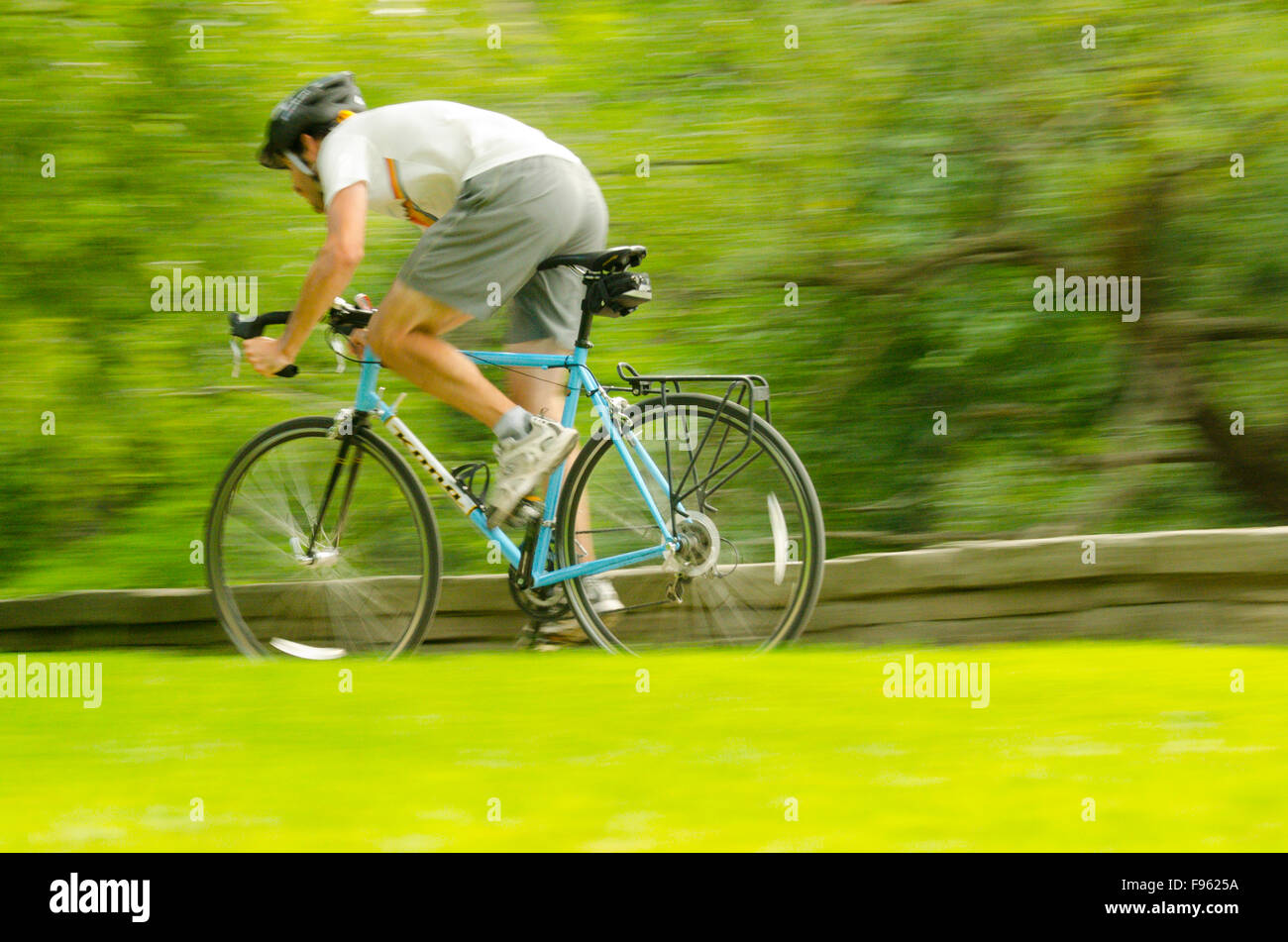 A cyclist commuting through the walkways and trails in High Park ...