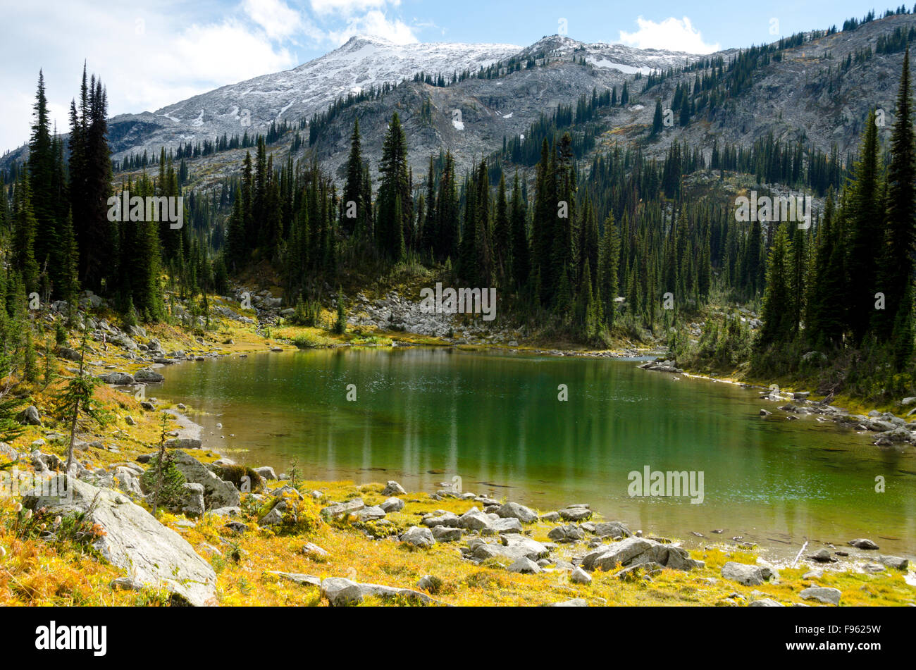 A small, emeraldcoloured tarn in Kokanee Glacier Provincial Park ...