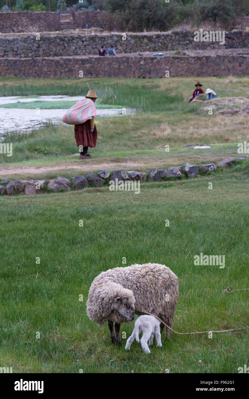 Peruvian village scenes Stock Photo - Alamy