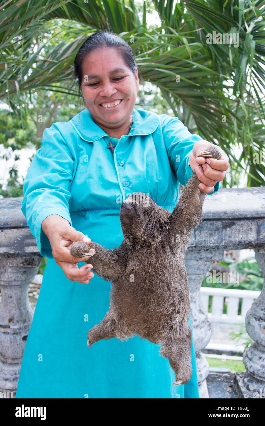 Woman holds a sloth, Iquitos, the largest city in the Peruvian ...
