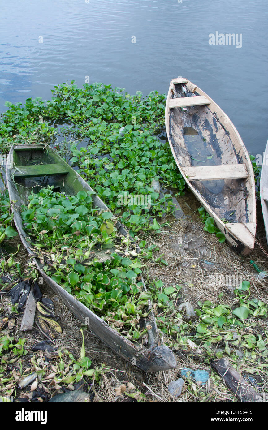 Dugout canoes, Iquitos, the largest city in the Peruvian rainforest and ...