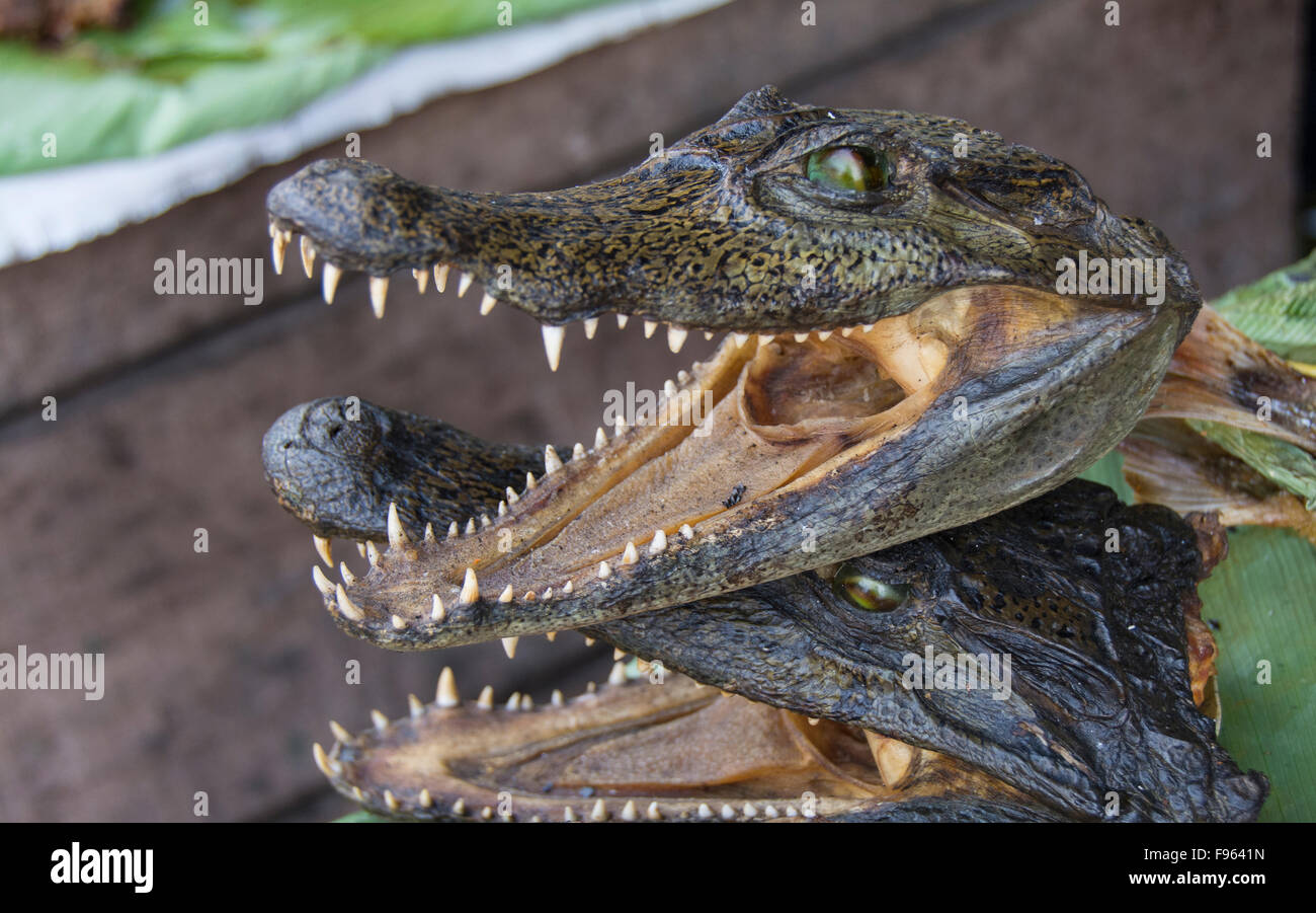 Market scenes, Iquitos, the largest city in the Peruvian rainforest and ...