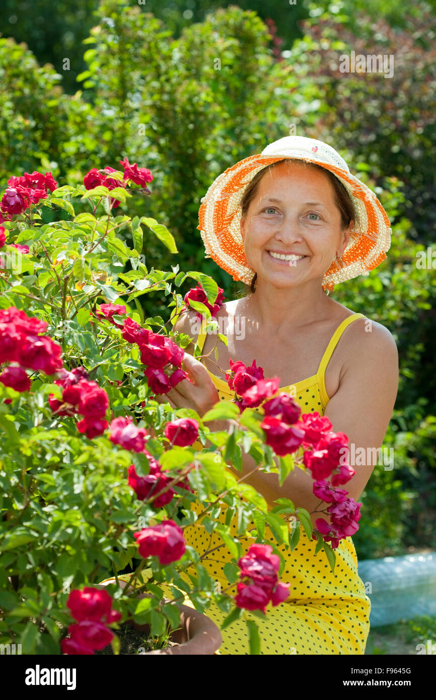 Happy mature woman in roses plant at garden Stock Photo - Alamy