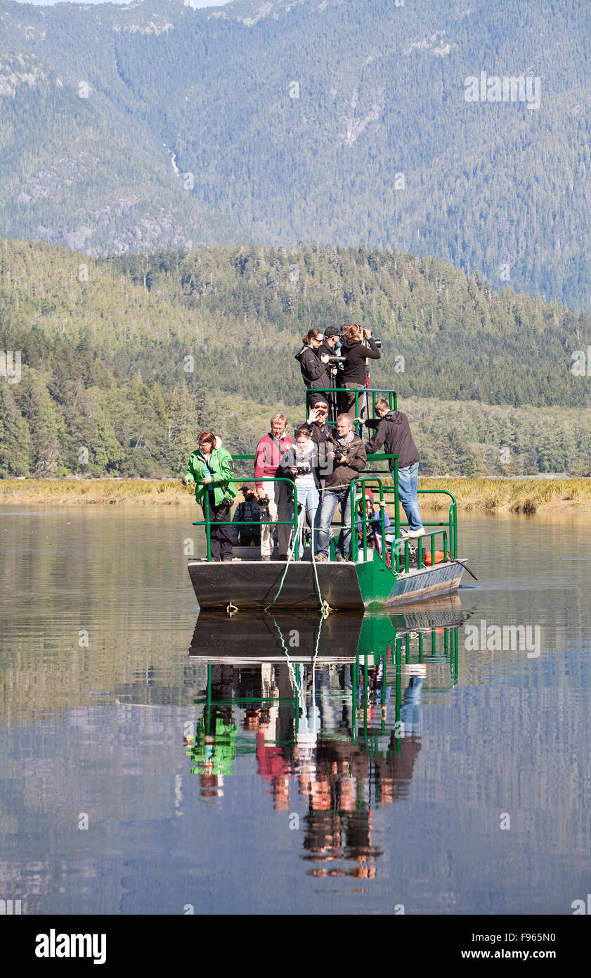 Mature bears hi-res stock photography and images - Alamy