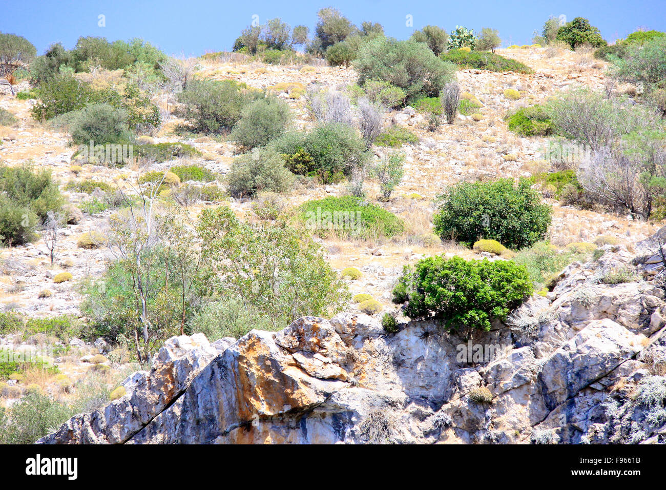 Mount Olympus - highest peak in Greece Stock Photo - Alamy