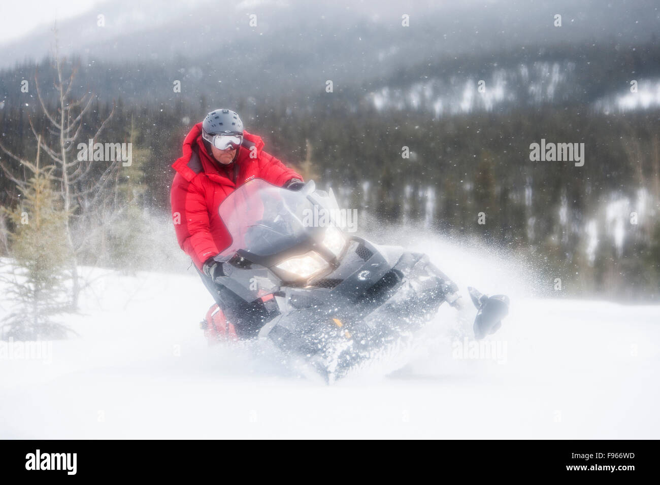 A snowmobiler floats through deep dry powder while snowmobiling on the ...