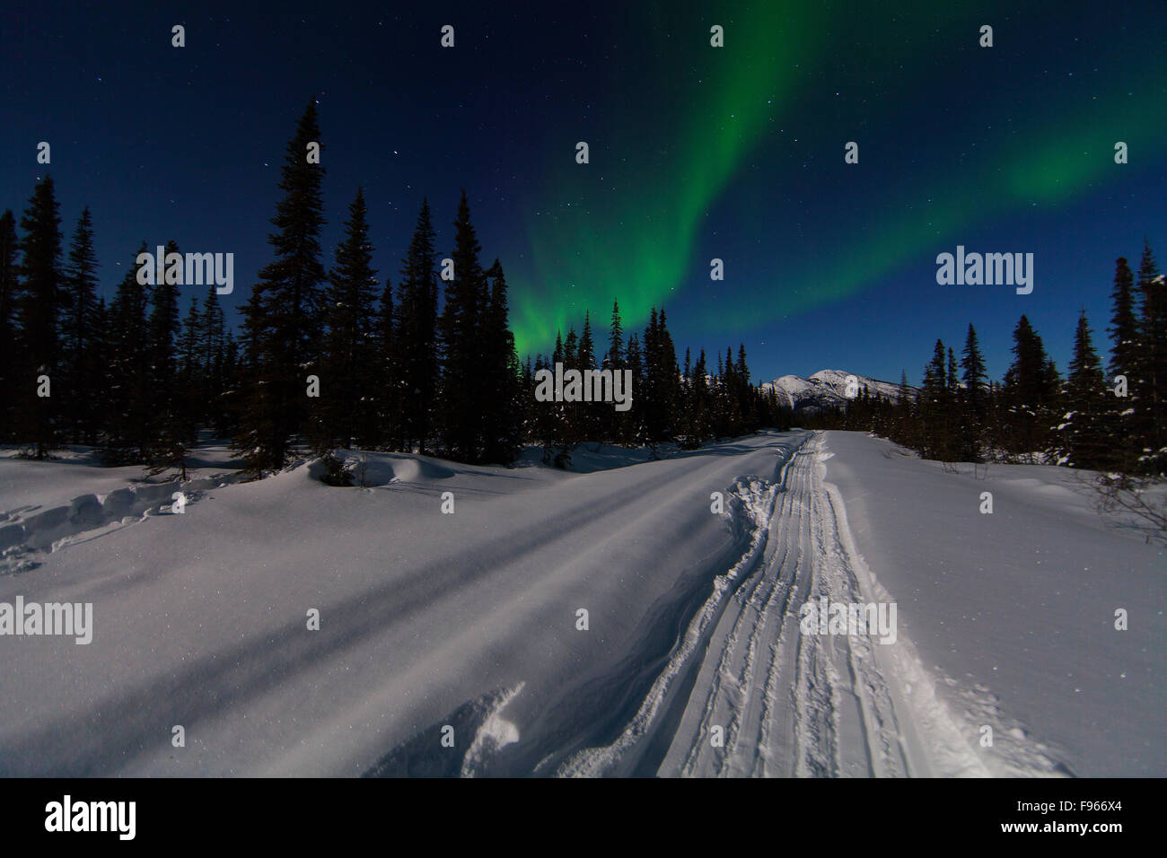 A snowmobile trail at night contrasts against the Northern Lights ...