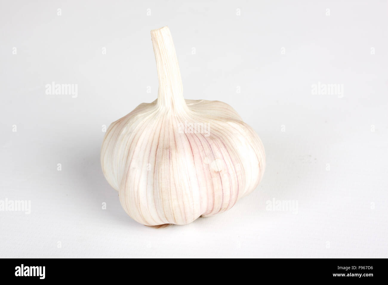 White Garlic isolated on the white background Stock Photo - Alamy