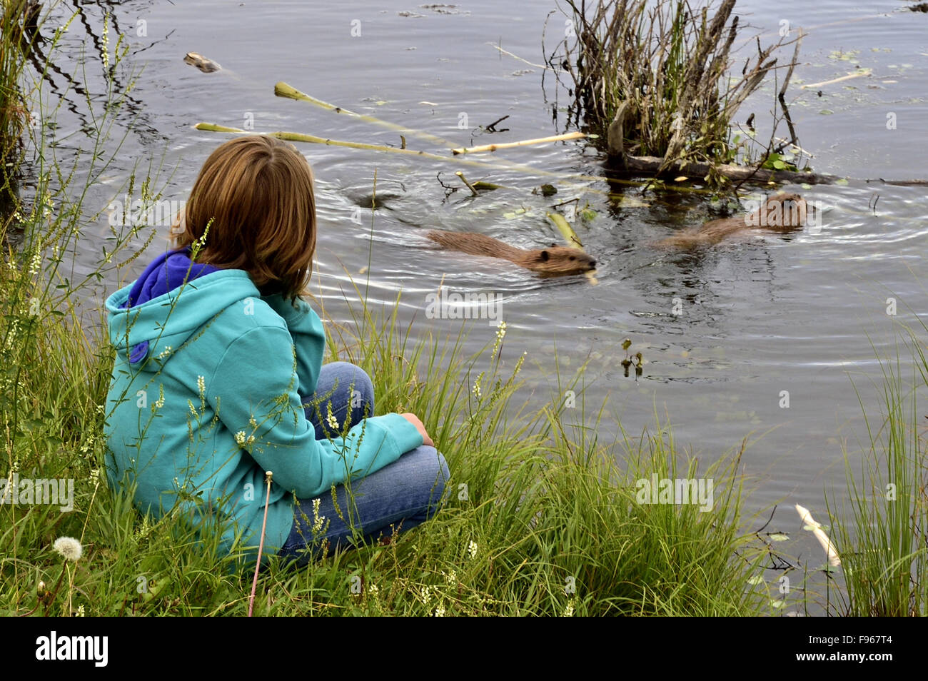 Girl Beaver High Resolution Stock Photography and Images - Alamy