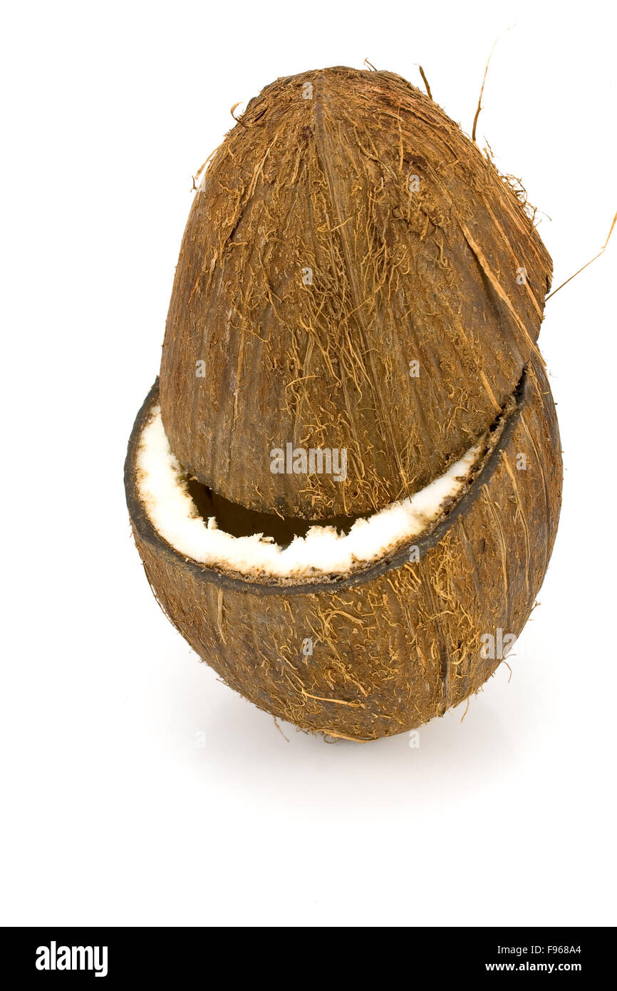 Yellow coconut on tree Cut Out Stock Images & Pictures - Alamy