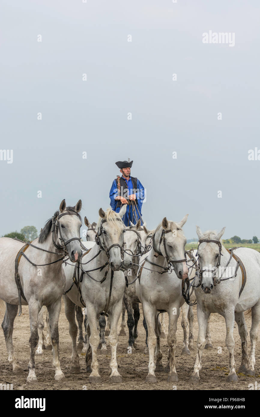 Csikos is riding a team of ten horse around the arena . Hungary is home ...