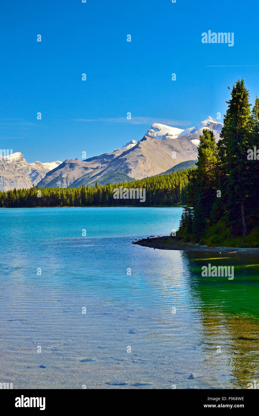 A vertical nature landscape of Maligne Lake with the snow capped rocky ...