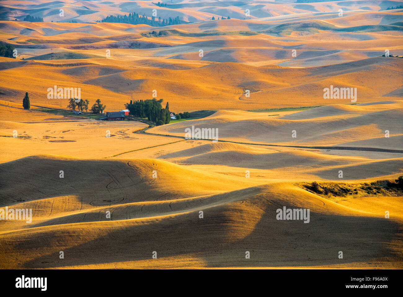 Farm surrounded with rolling hills at sunset. Palouse, Washington State ...