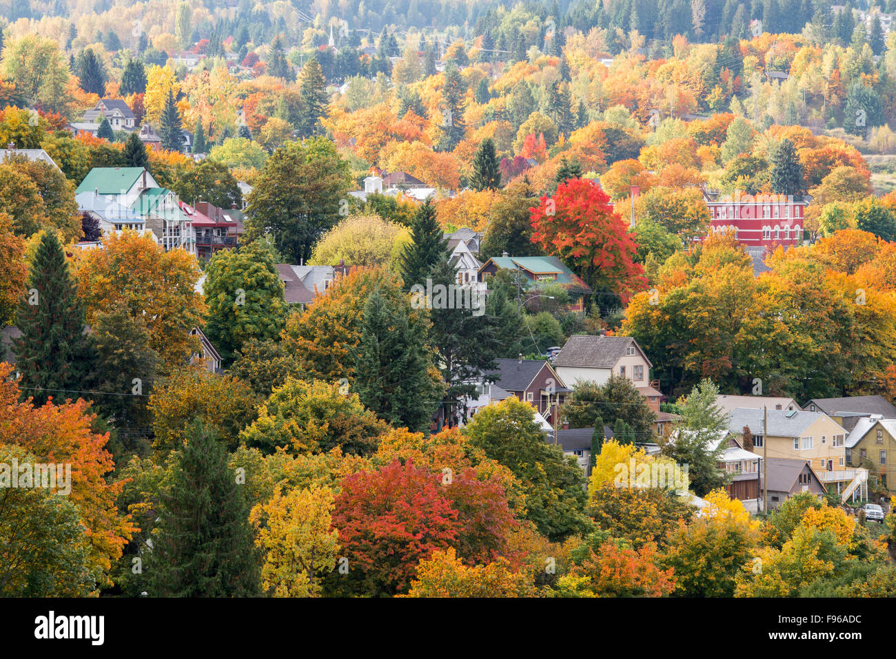 Nelson town hi-res stock photography and images - Alamy