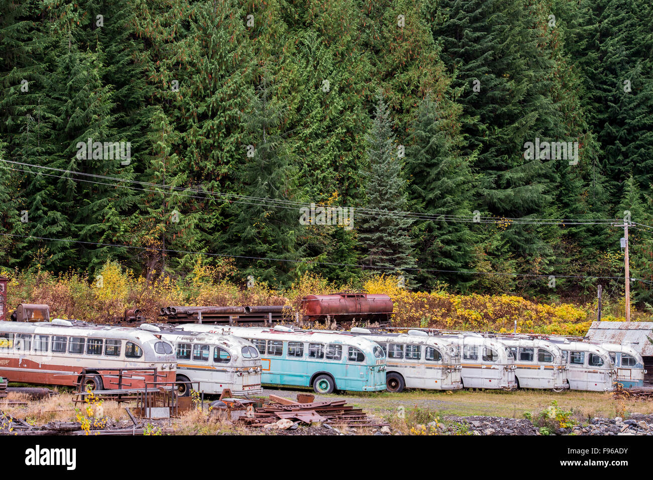 Old buses lined up in the ghost town of Sandon in British Columbia ...