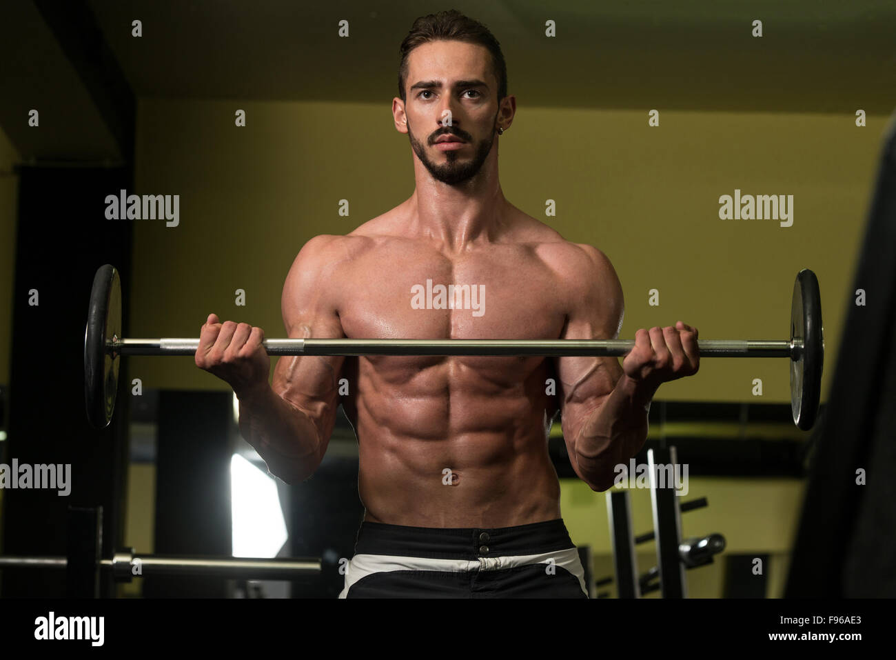 Muscular Man Doing Heavy Weight Exercise For Biceps With Barbell In Gym ...