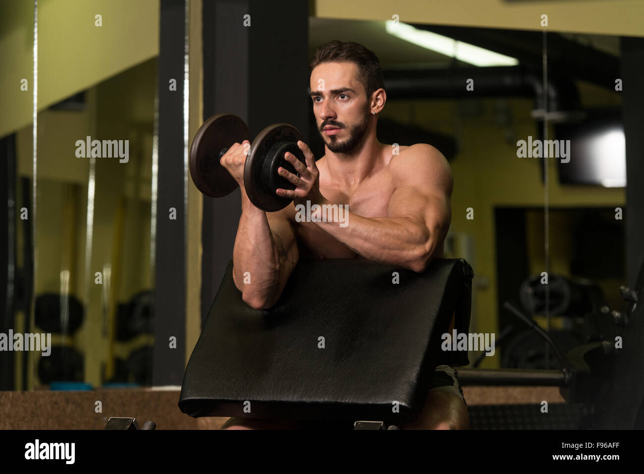 Young Man Working Out Biceps - Dumbbell Concentration Curls Stock Photo ...