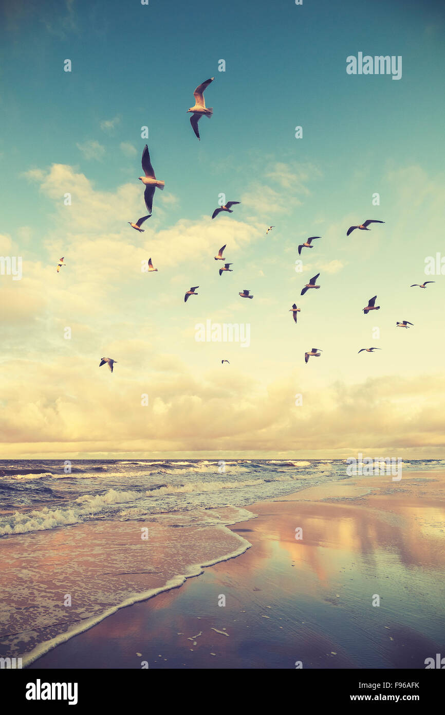 Photo of birds hi-res stock photography and images - Alamy