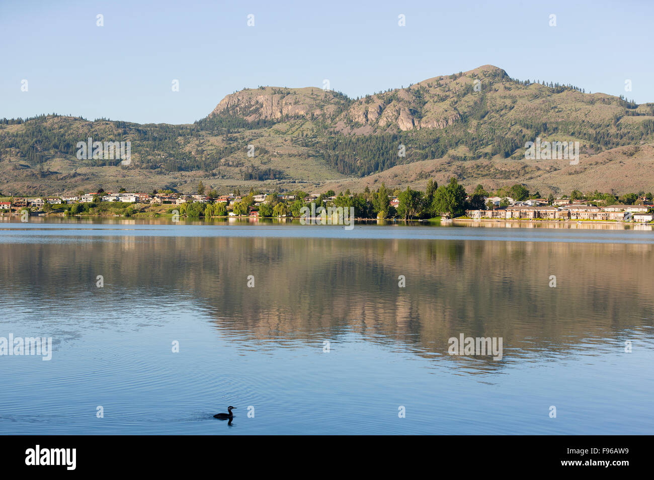 British columbia animals hi-res stock photography and images - Alamy