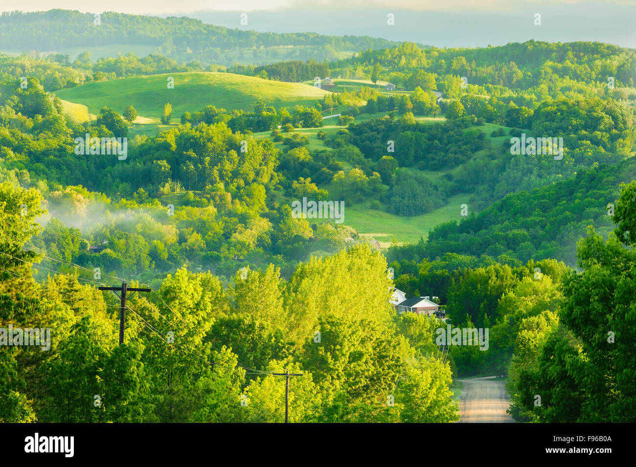 Overlooking the Noisy River Valley and the town of Dunedin (circa 1835 ...