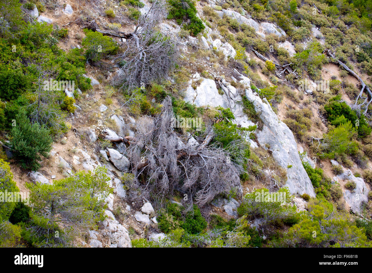 Mount Olympus - highest peak in Greece Stock Photo - Alamy