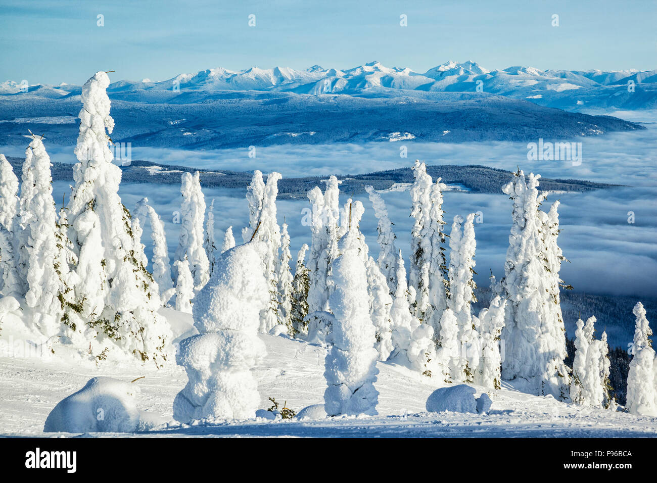 Snowcovered trees on Silver Star Mountain, Monashee Mountains in the ...