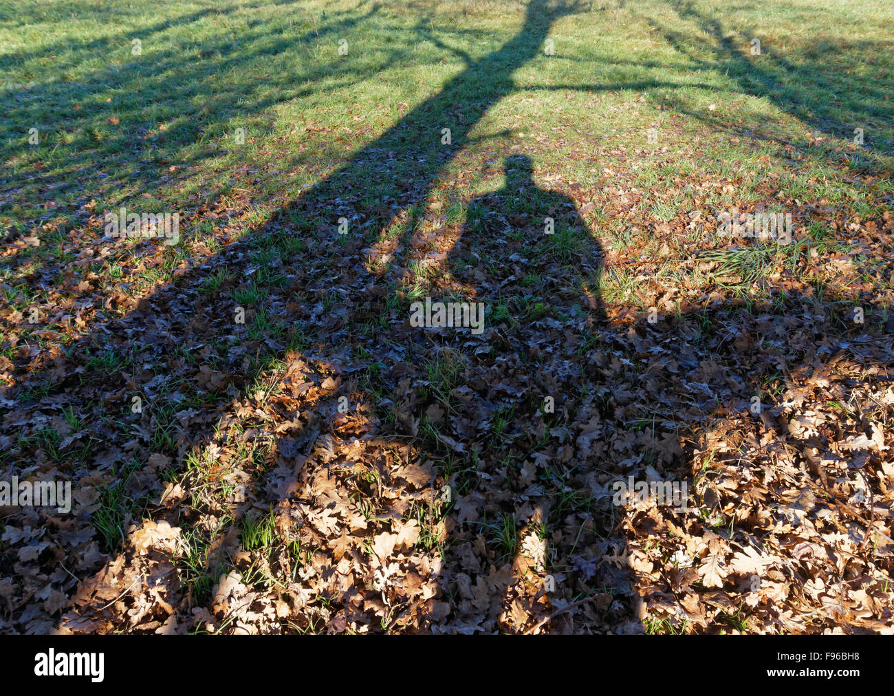 Man trees silhouette hi-res stock photography and images - Alamy