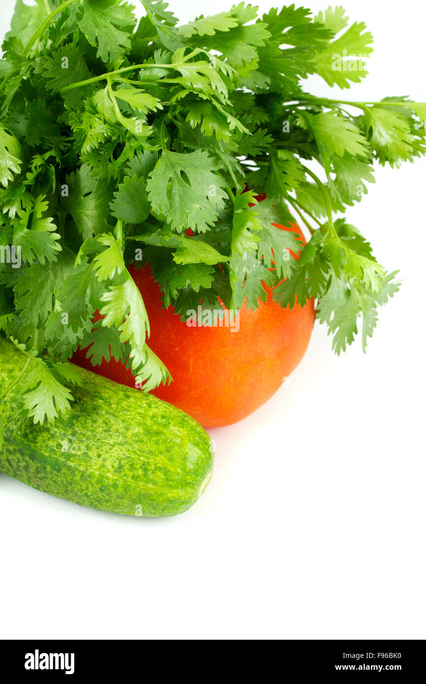 Tomato and cucumber with green coriandr Stock Photo - Alamy