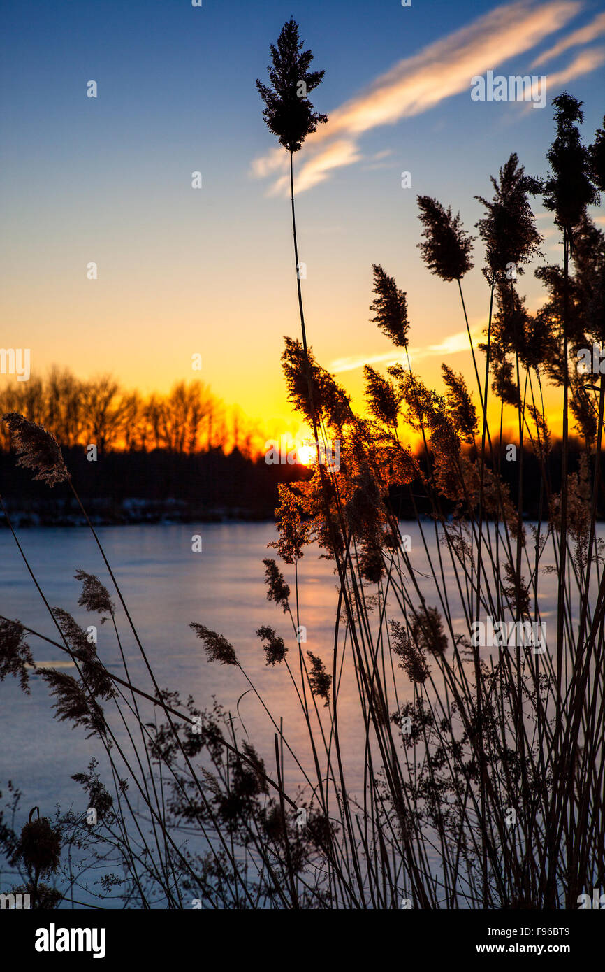 Frozen lake at sunset Stock Photo - Alamy