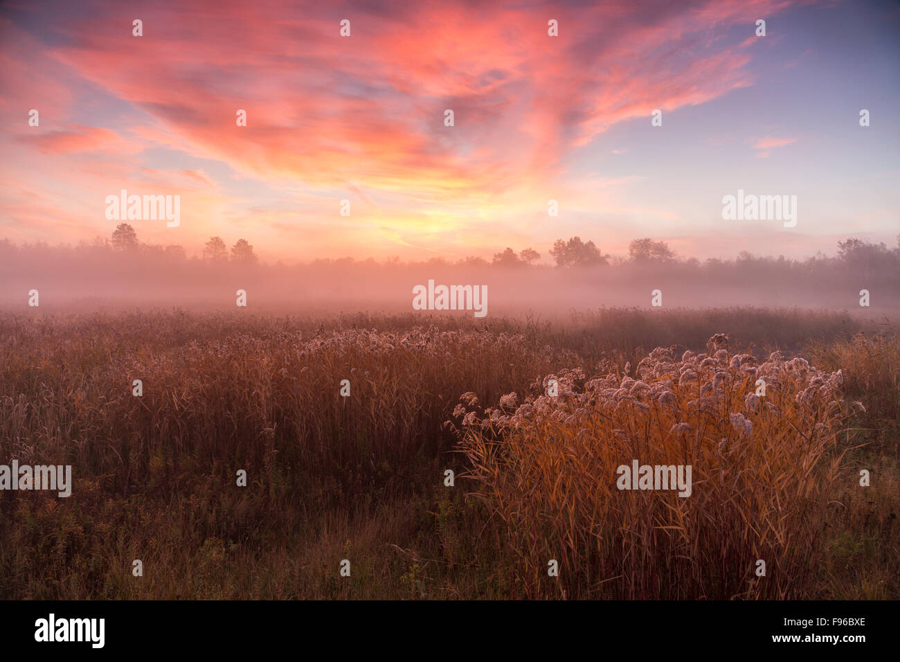 Lively city hi-res stock photography and images - Alamy