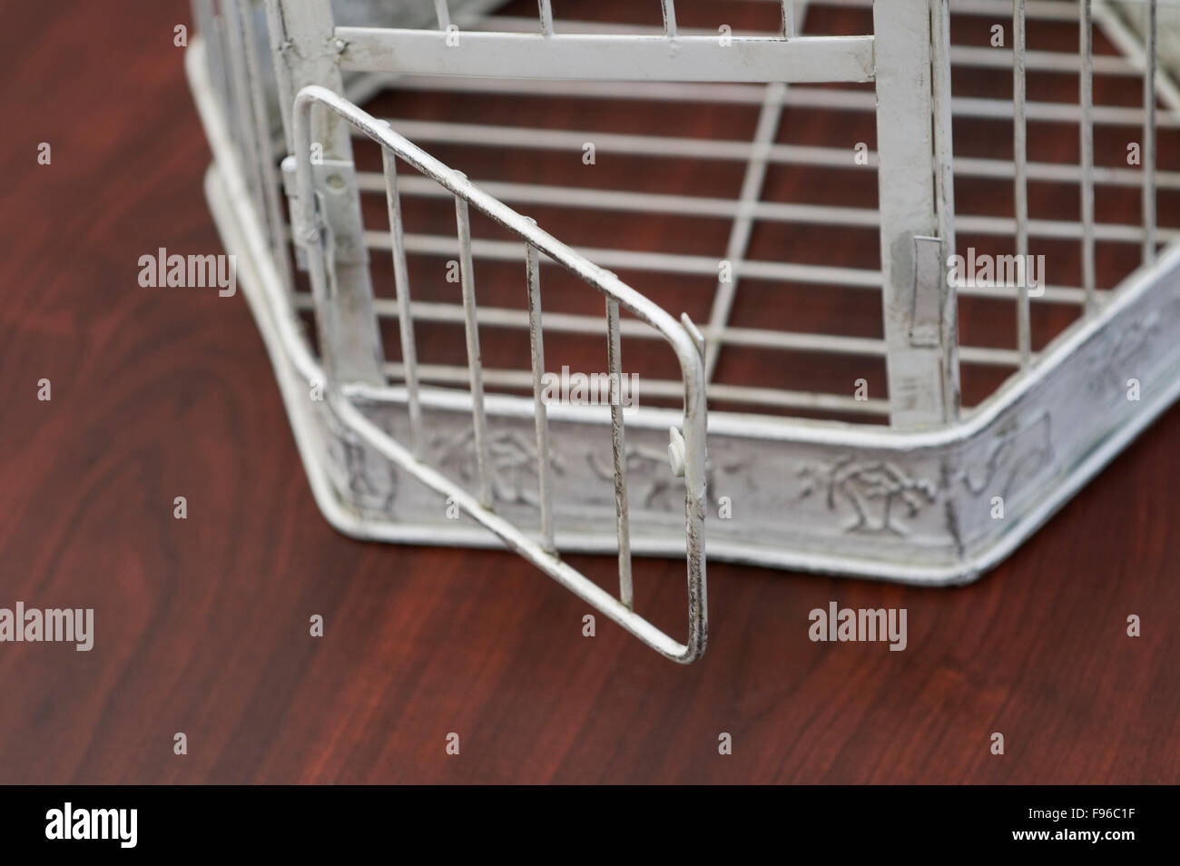 birdcage with open door Stock Photo - Alamy
