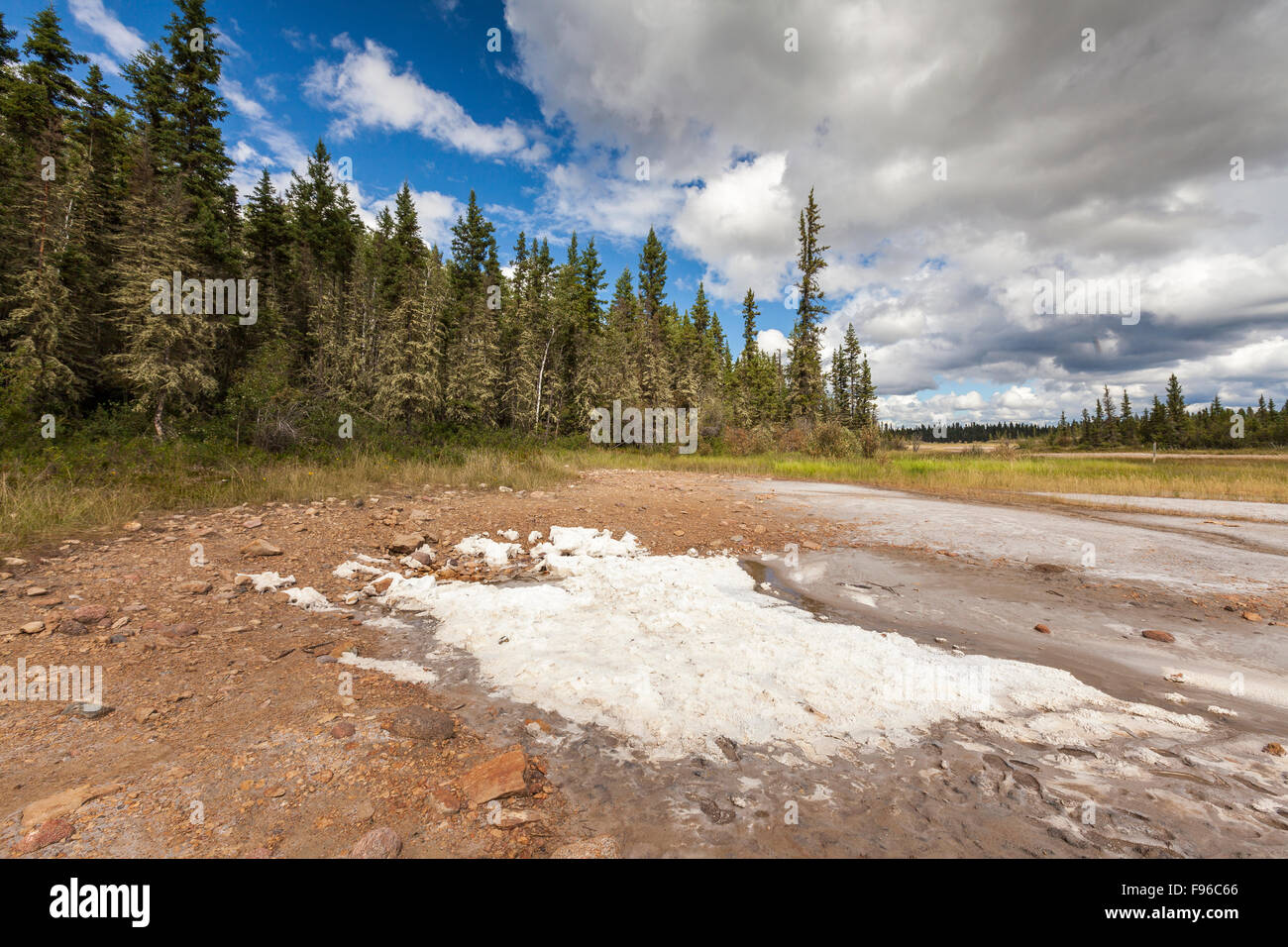 Wood buffalo national park salt plains hi-res stock photography and ...