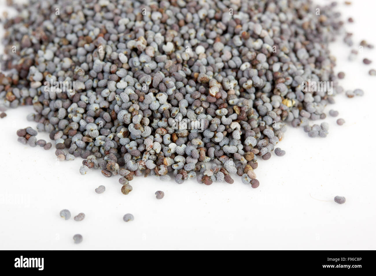 Poppy Seeds (Papaver Somniferum) on white background Stock Photo - Alamy
