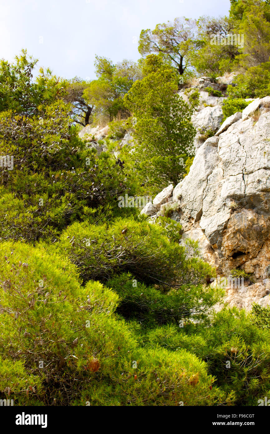 Mount Olympus - highest peak in Greece Stock Photo - Alamy
