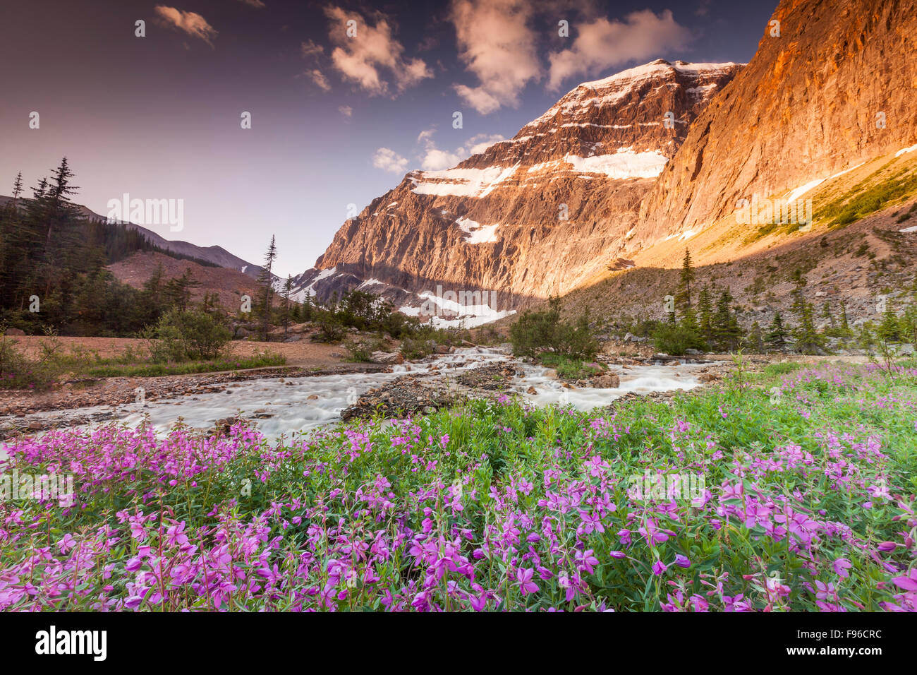 Glacial stream and fireweed hi-res stock photography and images - Alamy