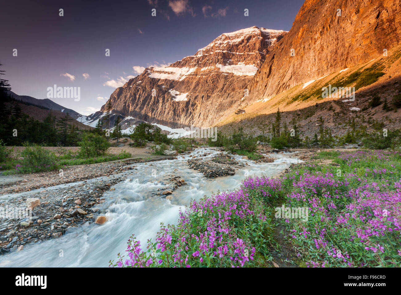 Glacial stream and fireweed hi-res stock photography and images - Alamy