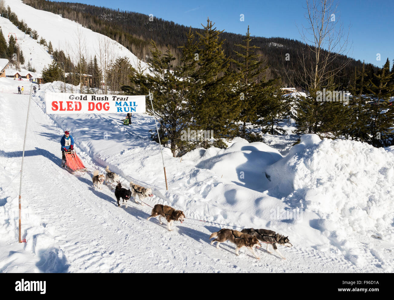 4 seasons canada hi-res stock photography and images - Alamy