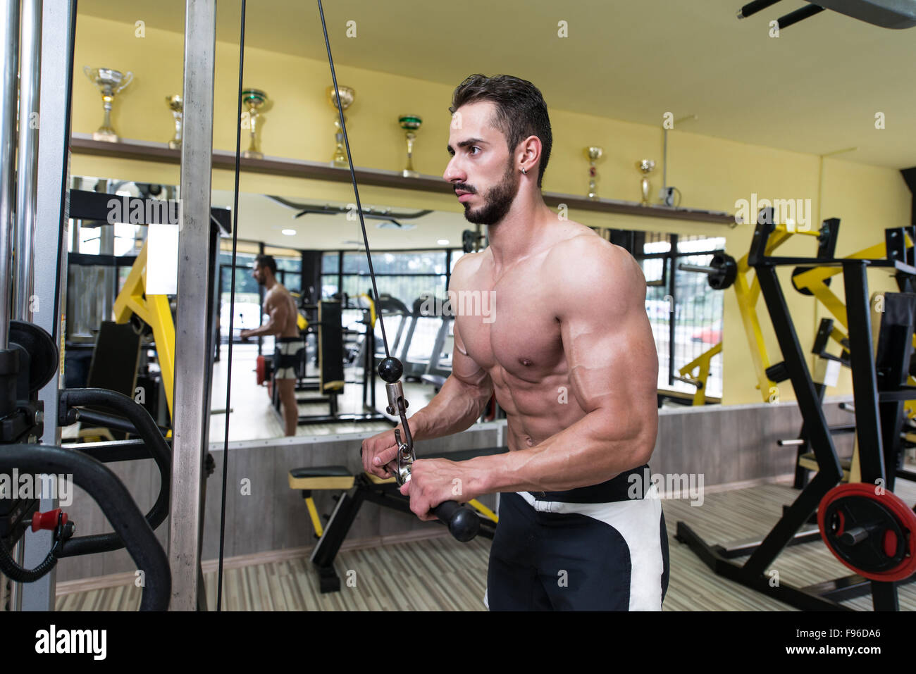 Young Bodybuilder Exercise Triceps In The Gym - He Is Performing Two ...