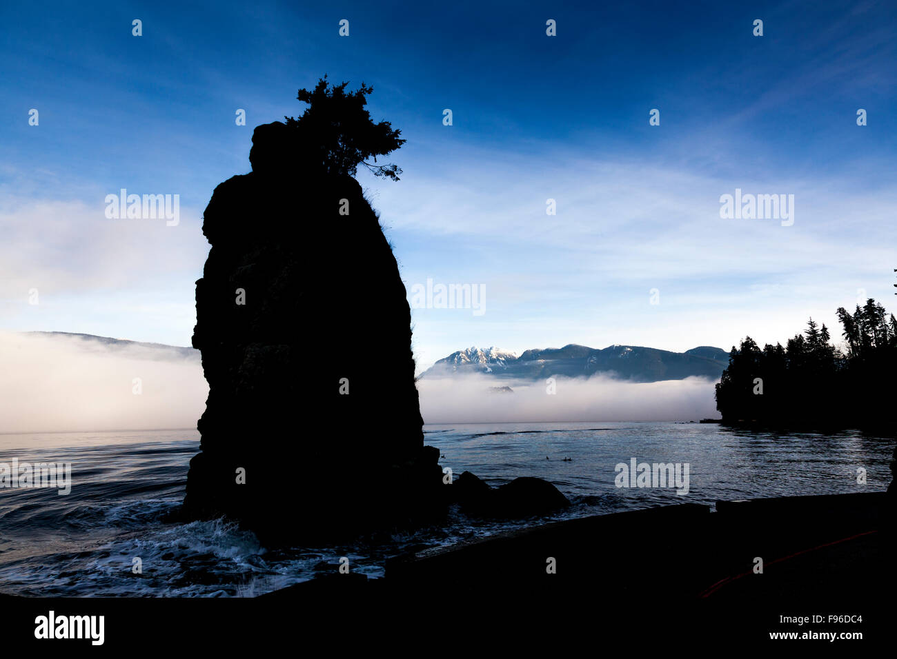 Sea stacks flowerpots hi-res stock photography and images - Alamy