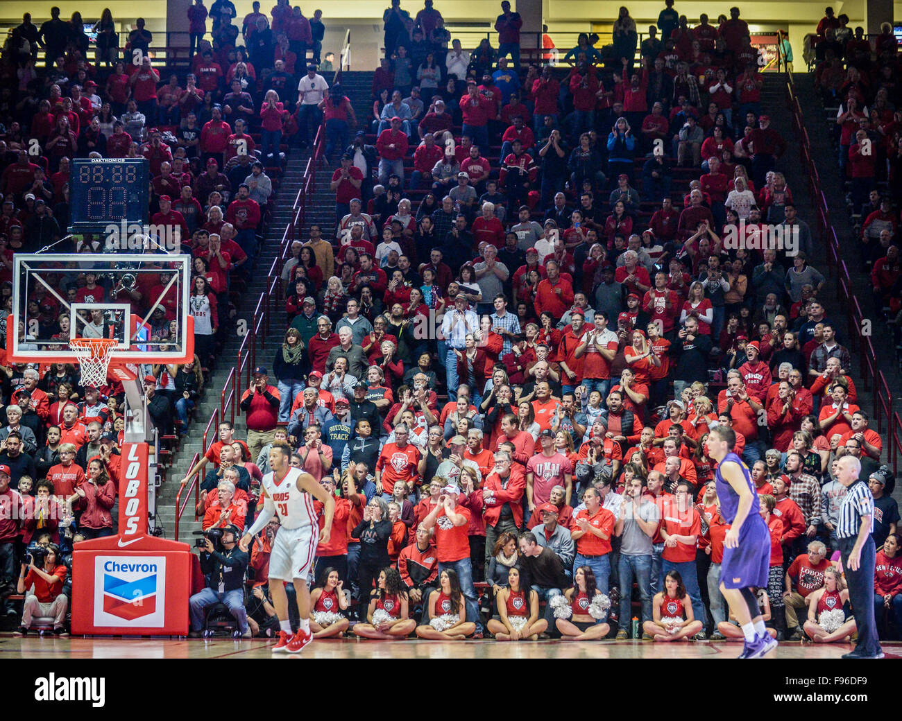 Lobo lobos hi-res stock photography and images - Alamy