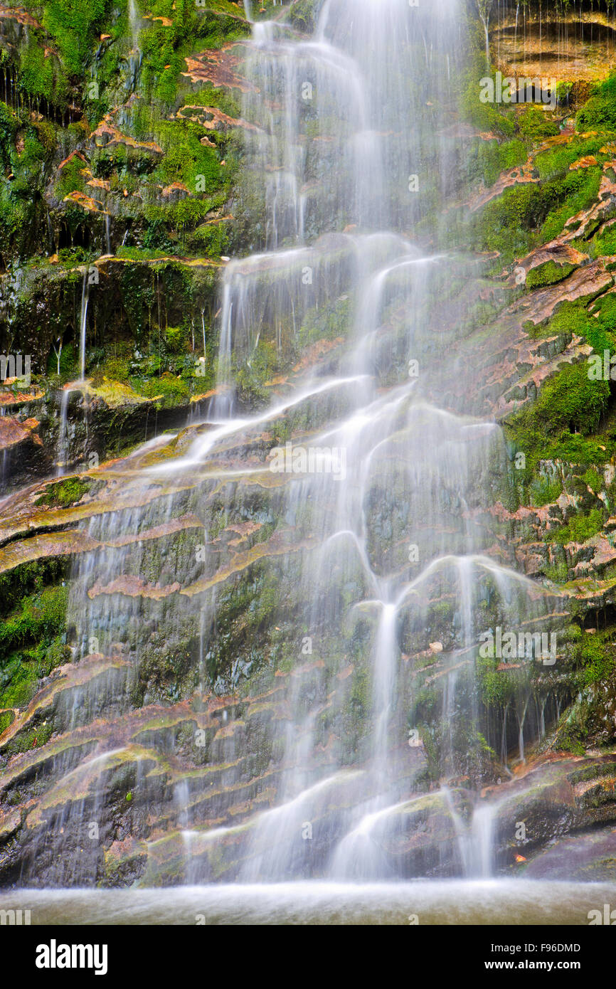 Forillion national park hi-res stock photography and images - Alamy