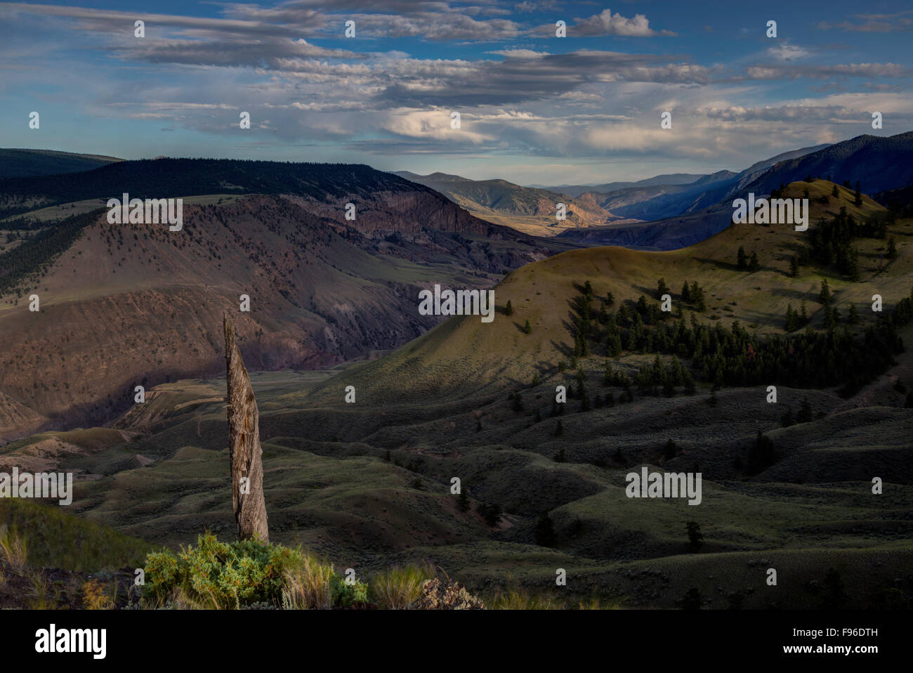 British Columbia, Canada, Charlotte Alplands, Chilcotin region ...