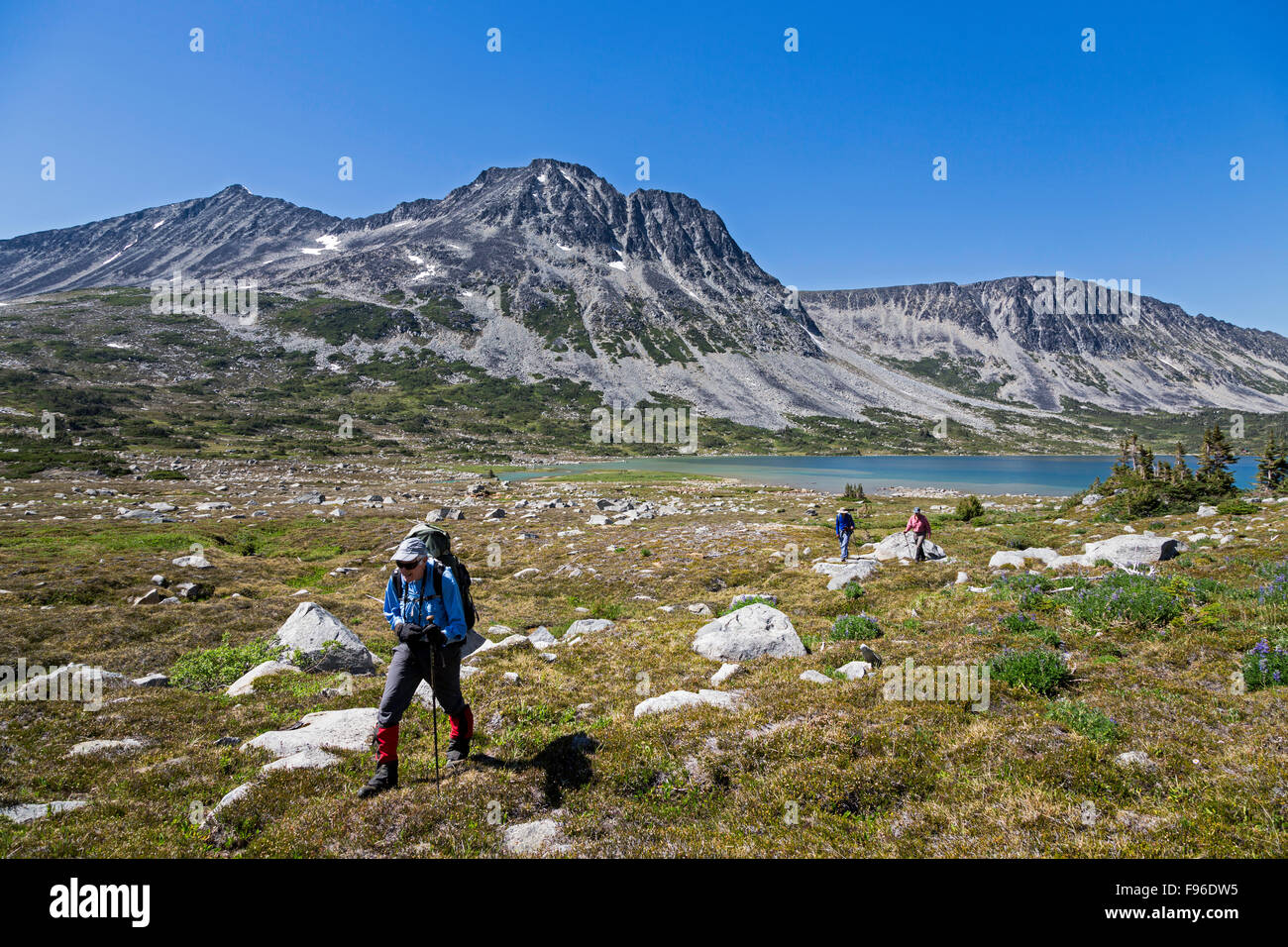 British Columbia, Canada, Chilcotin Ark, Charlotte Alplands, Chilcotin ...