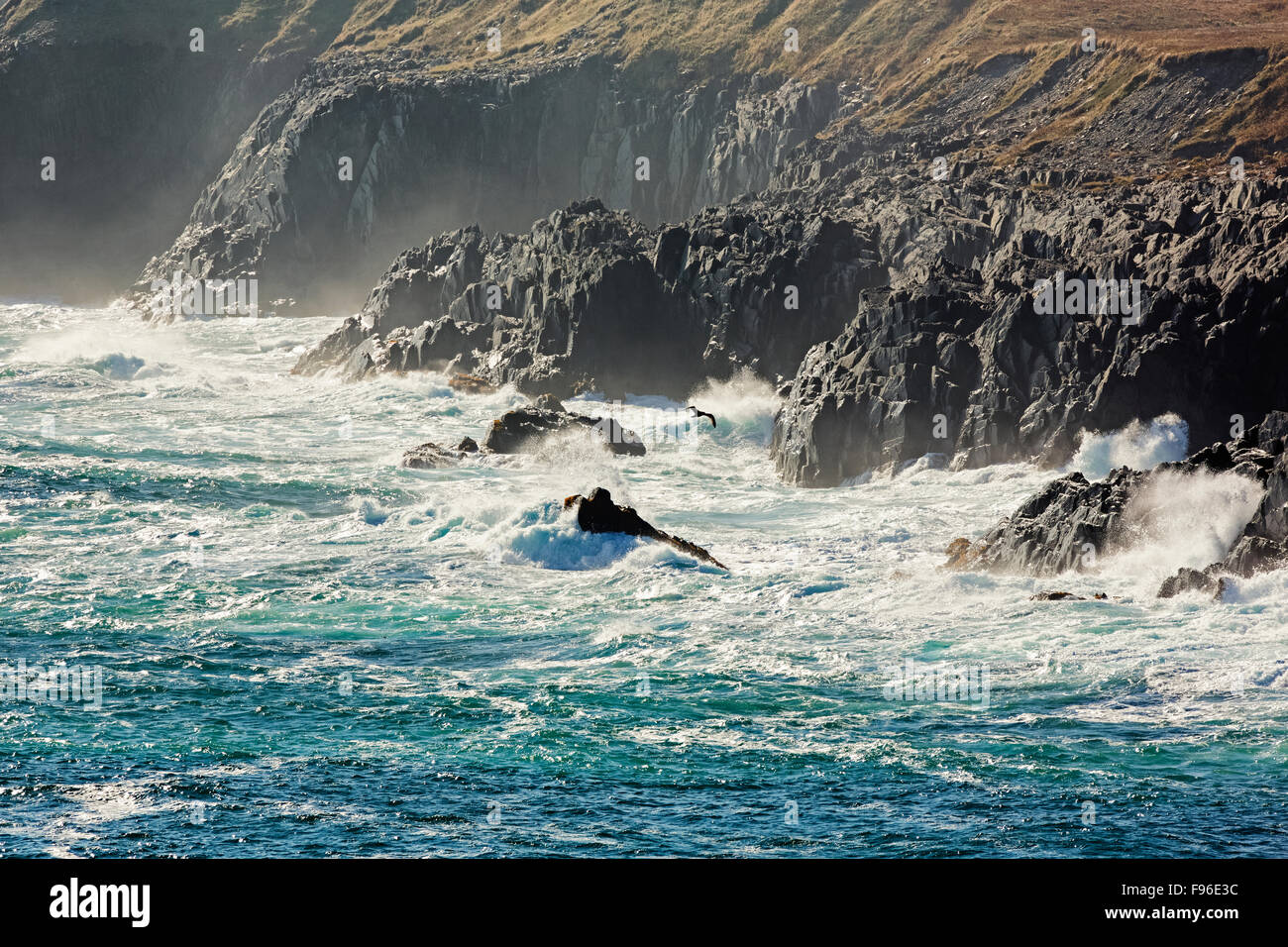 Waves breaking on coastline, Cape Race lighthouse National Historic ...