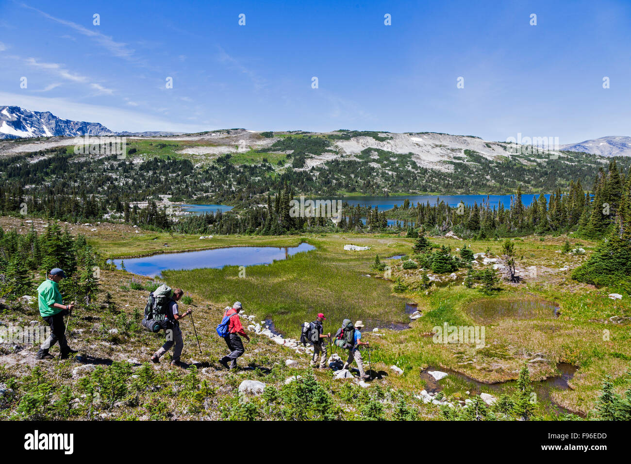 British Columbia, Canada, Charlotte Alplands, Chilcotin region ...