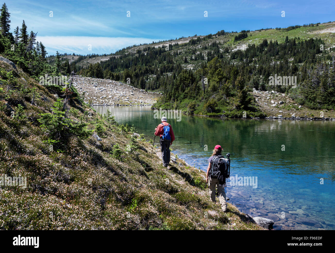 British Columbia, Canada, Charlotte Alplands, Chilcotin region ...