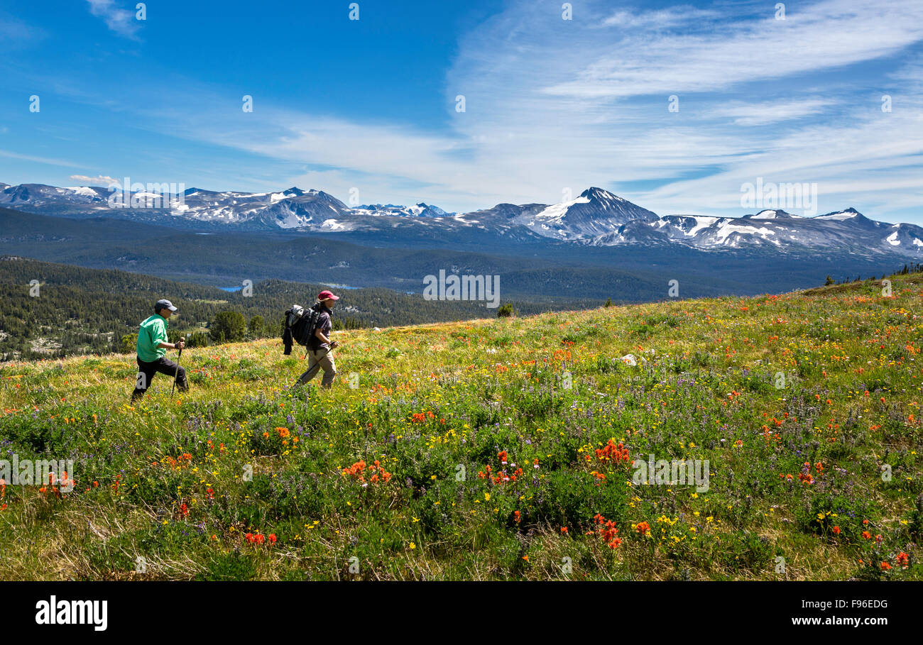 British Columbia, Canada, Charlotte Alplands, Chilcotin region ...